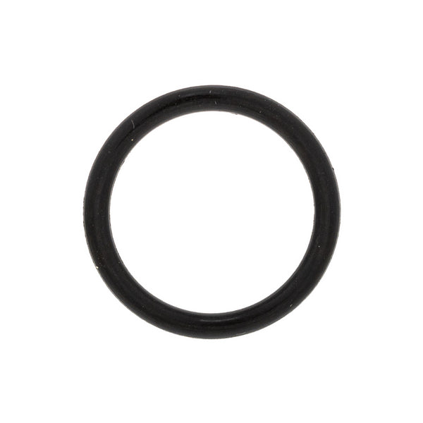 Honda 16173-001-004 Fuel Strainer Cup Gasket | Equipatron