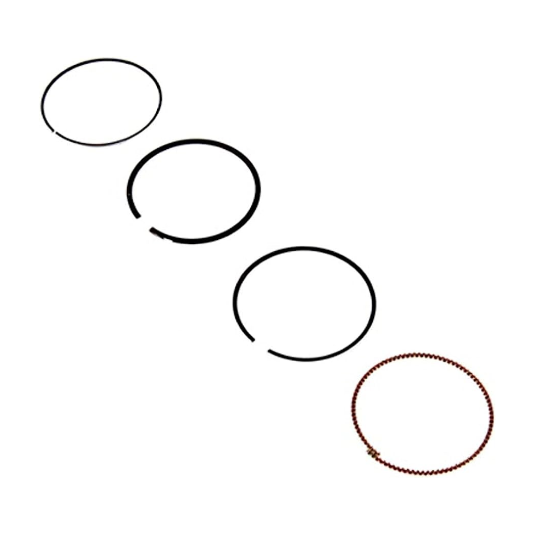 Kohler RING SET PISTON (STD) | Equipatron