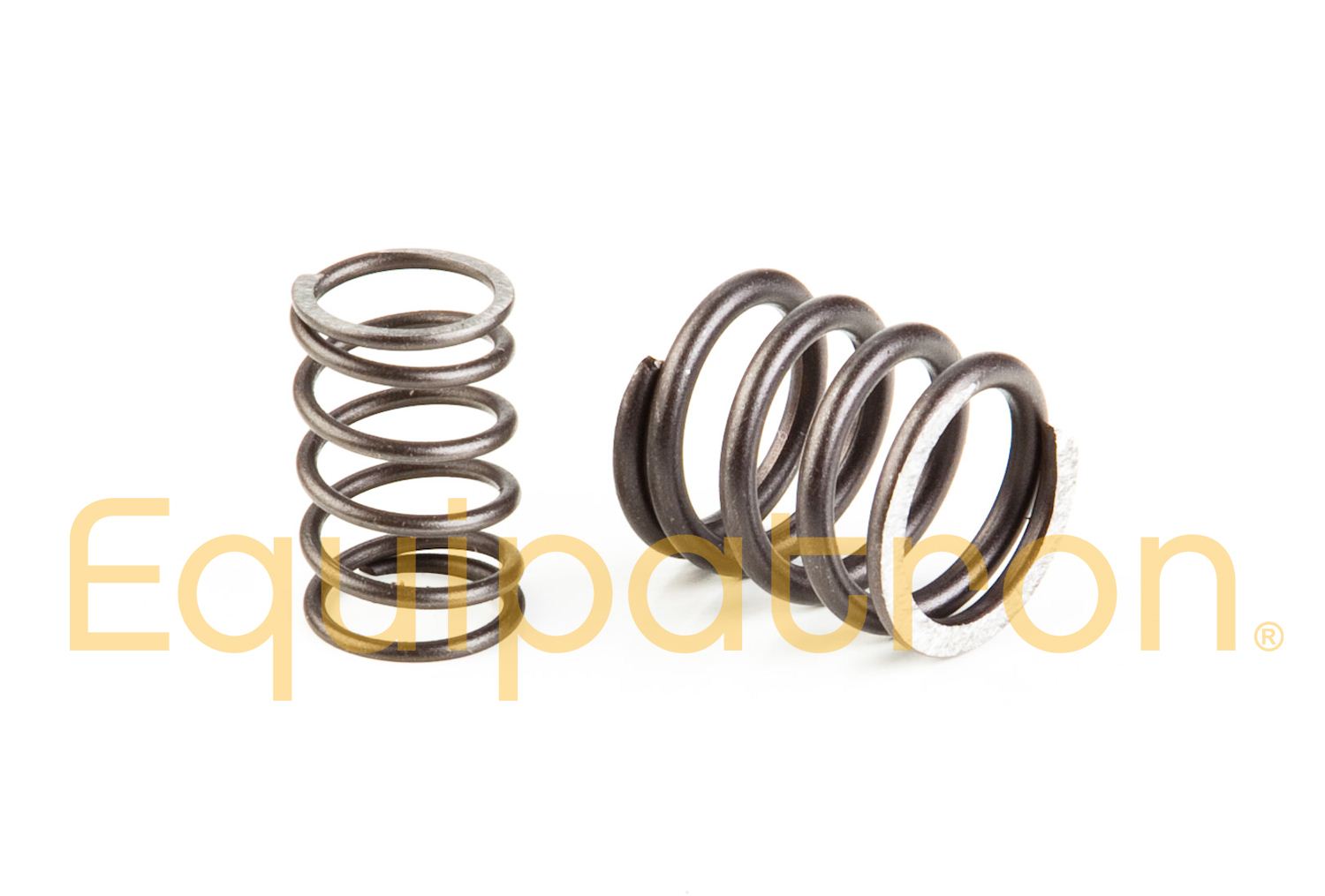 Briggs & Stratton 557024 Valve Spring | Equipatron