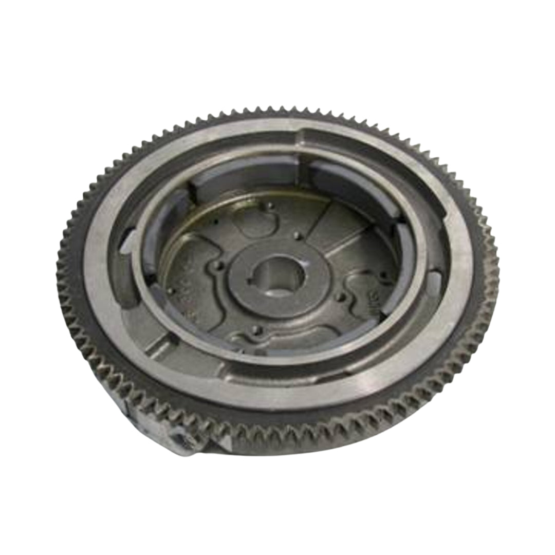 Kohler 24 025 121-S Flywheel Assembly (LW 22 Degree) Replaces 24 025 5 ...