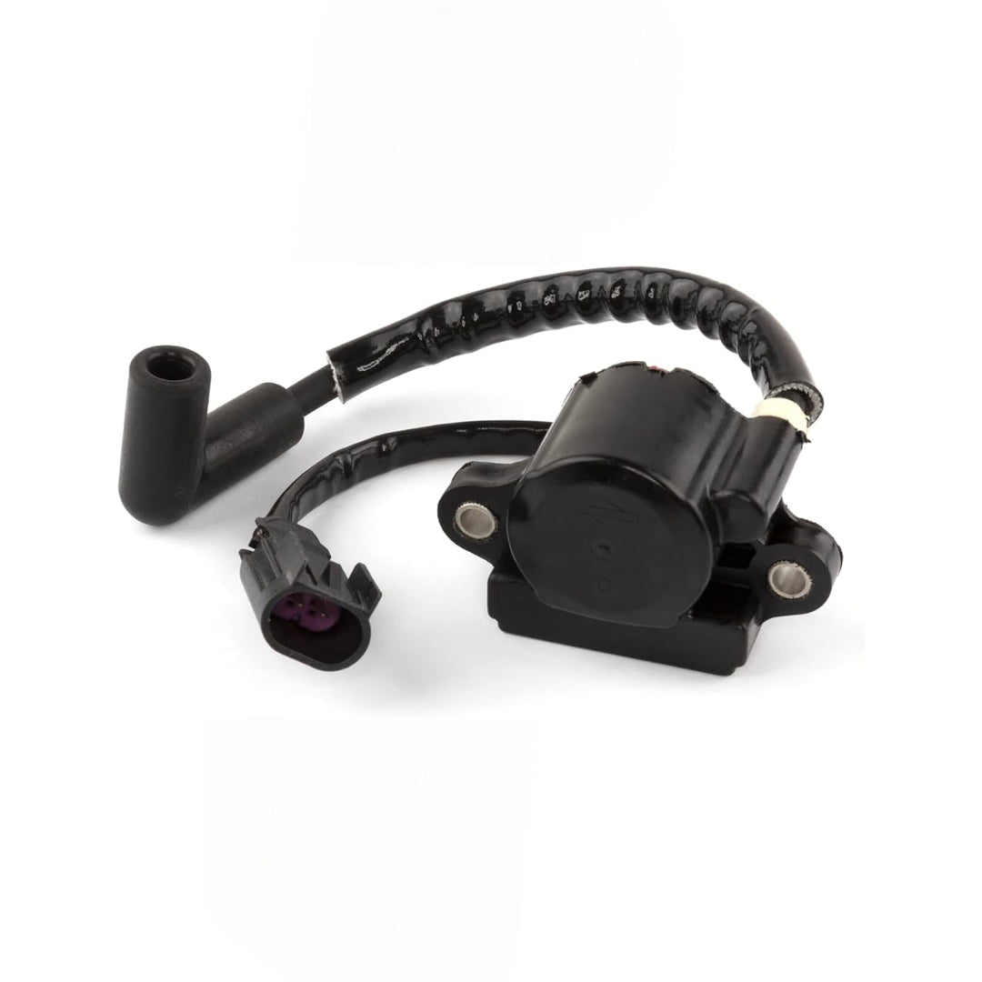 Briggs & Stratton 593856 Ignition Coil | Equipatron